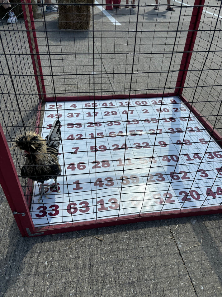 Chicken Poop Bingo – Standard Feed & Seed